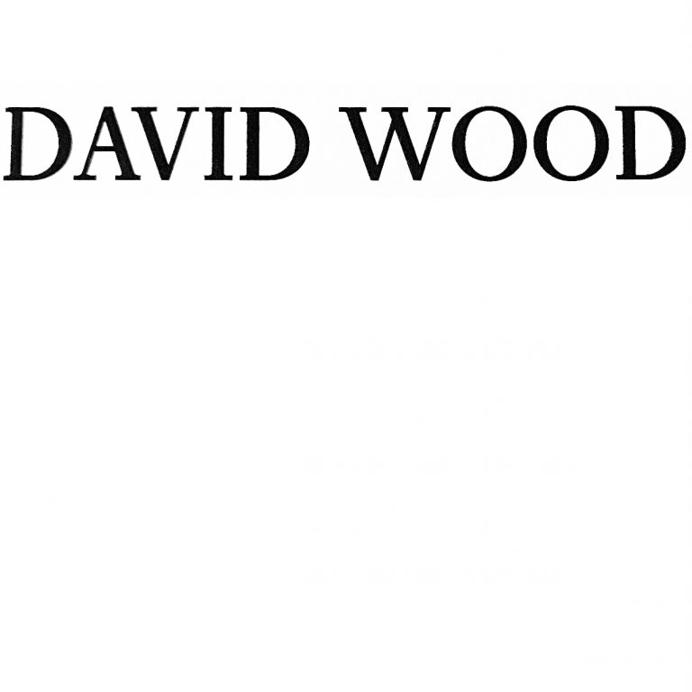 David Wood – Award-winning Musician & Businessman