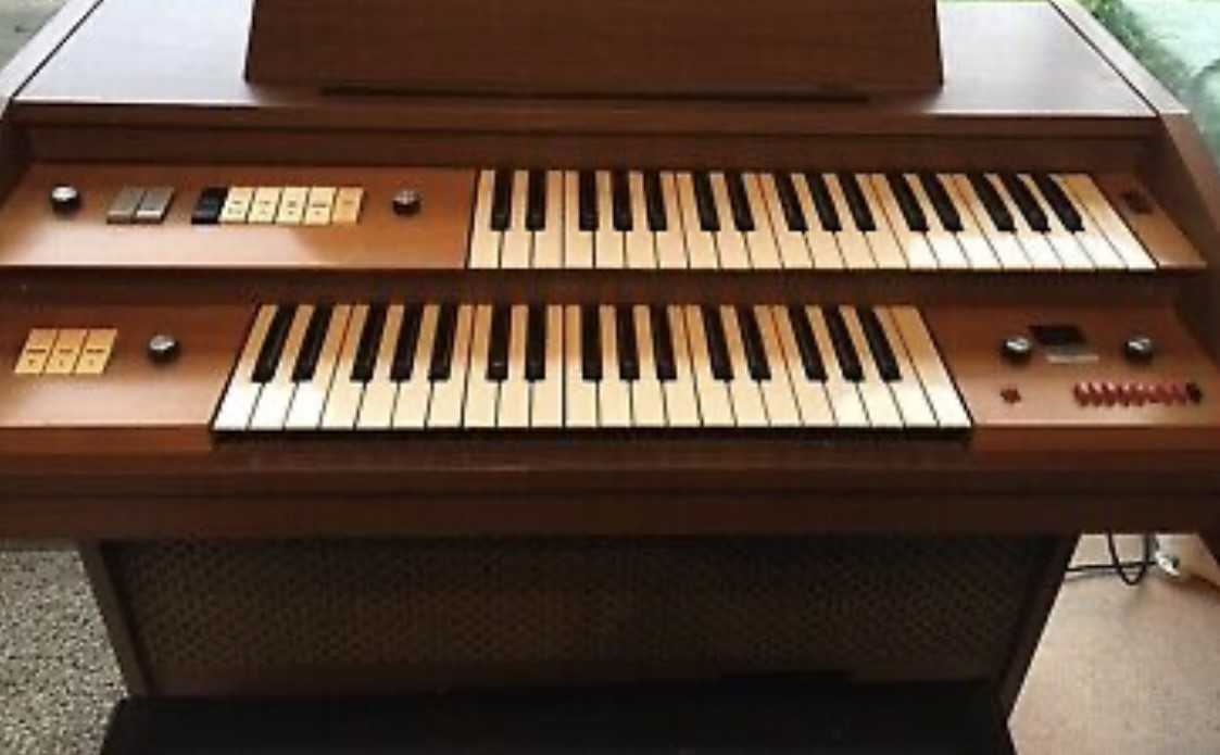 Musical Childhood - David Wood